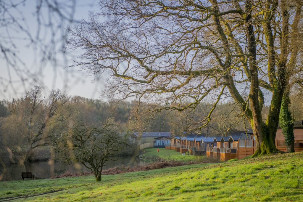 Gallery | Lakeview Manor