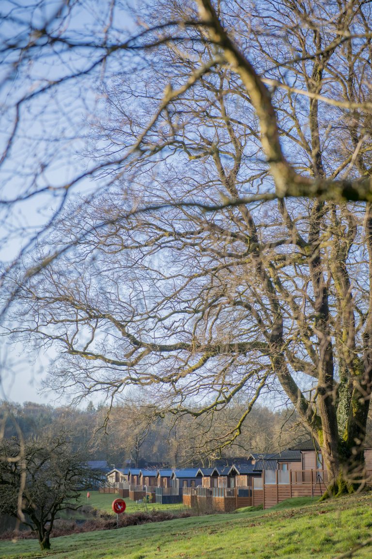 Gallery | Lakeview Manor