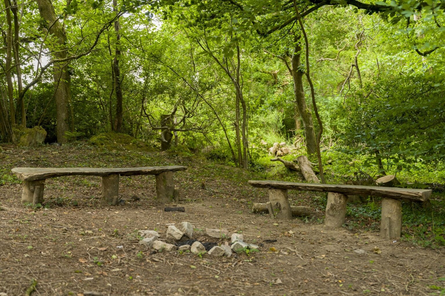 Park Rangers sessions | Outdoor Activities | Lakeview Manor